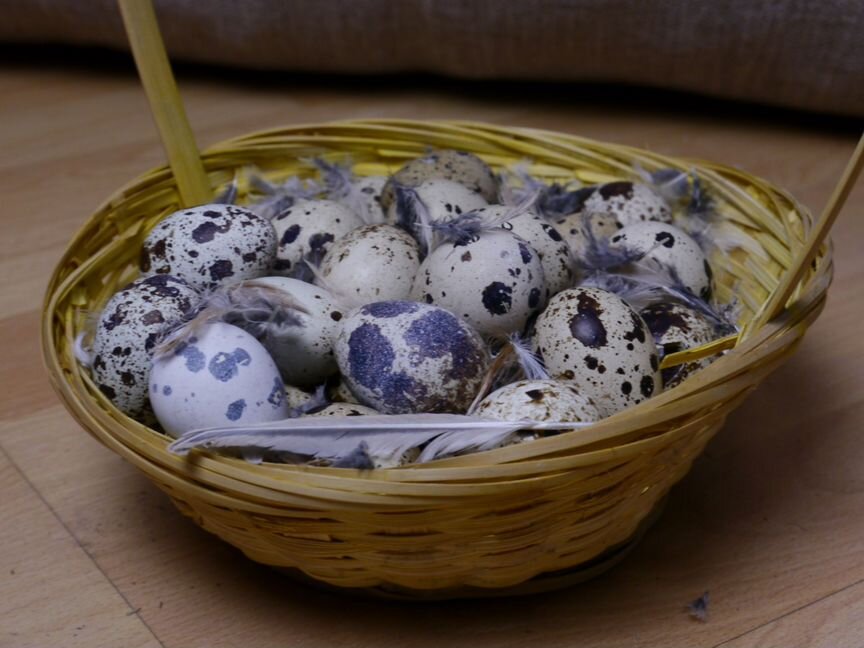 Яйца перепелиные золотой феникс