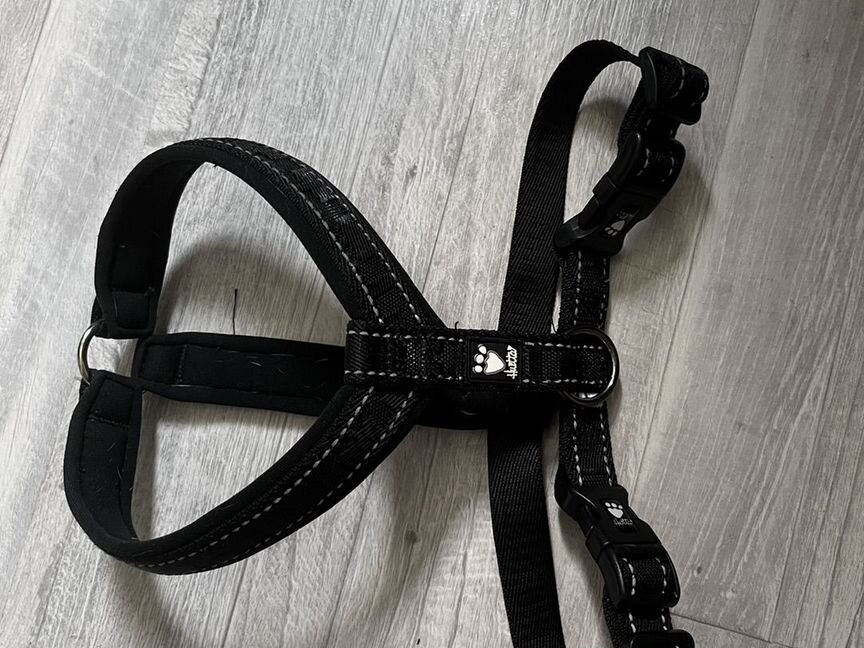 Шлейка, намордники и поводок