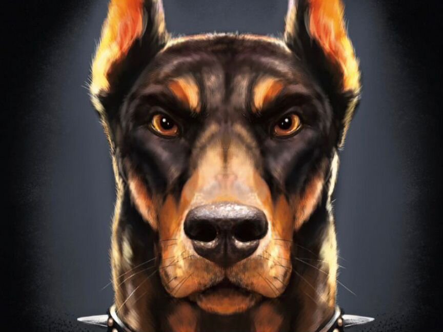 Доберман в добрые руки