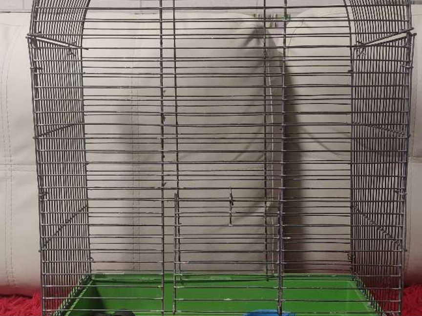 Клетка для попугая бу