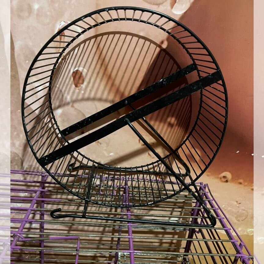 Продам колесо для шиншилл