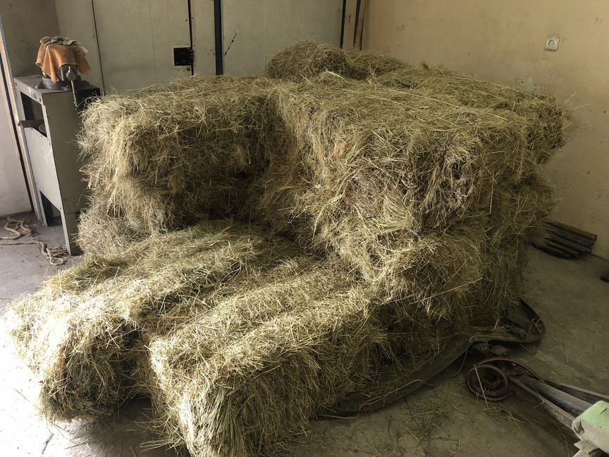 Сено луговое сухое