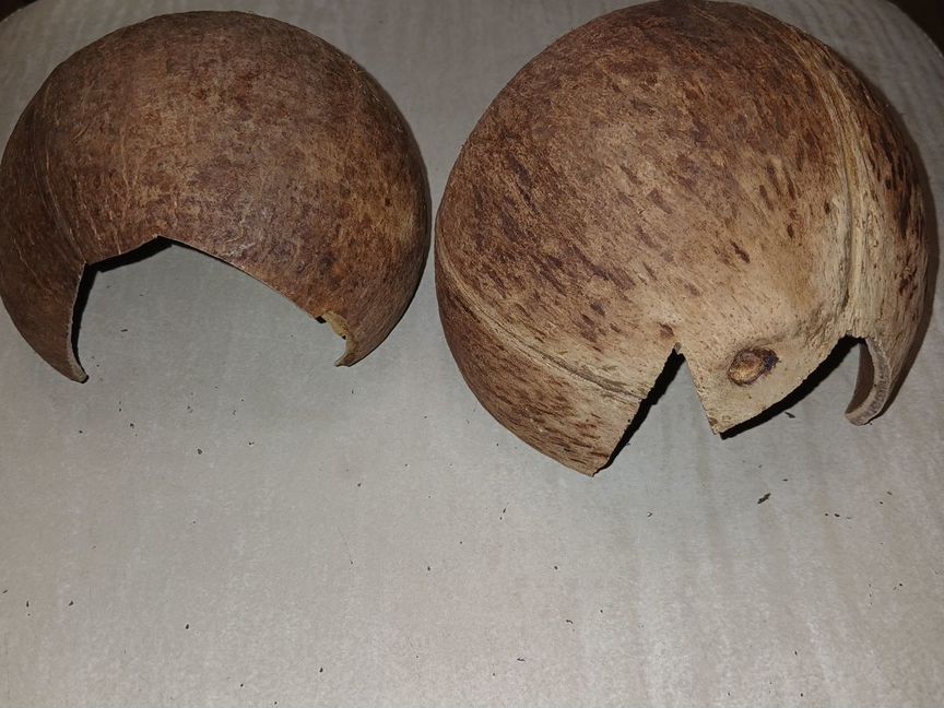 Украшения для аквариума