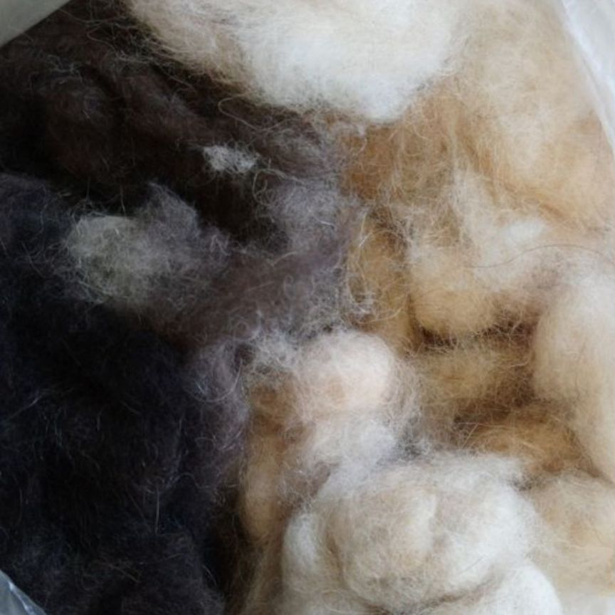 Собачья шерсть шпица