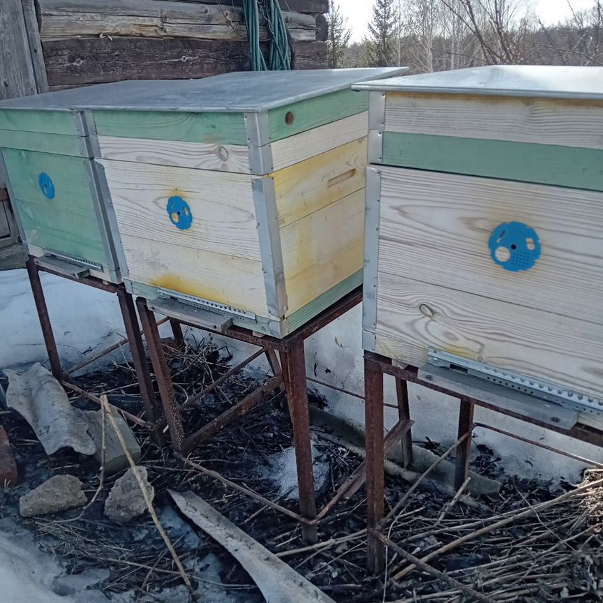 Продам ульи для пчел