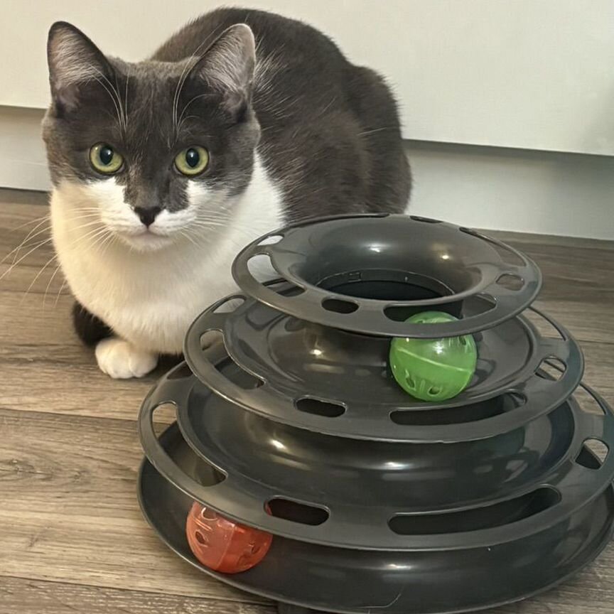 Игрушка пирамида для кота