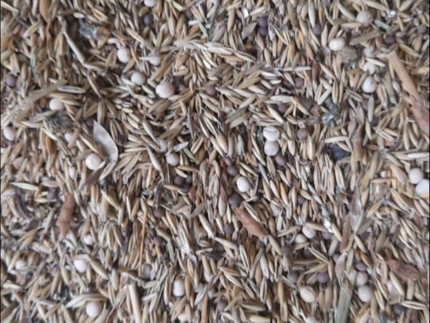 Зерноотходы