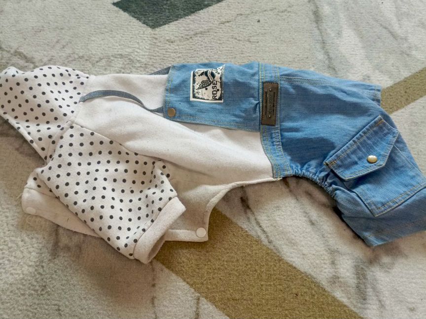 Костюм для средней собаки