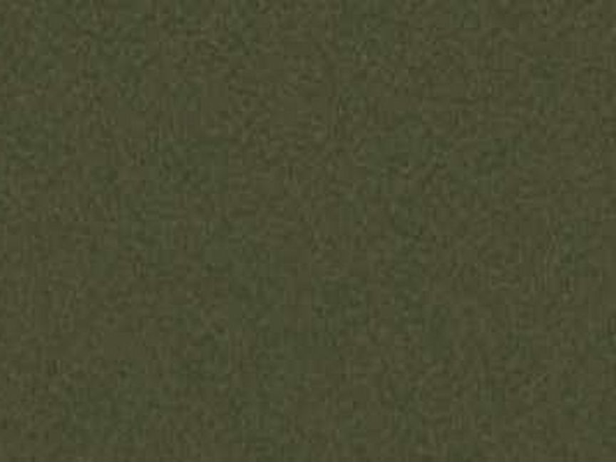 Мейн-кун в добрые руки