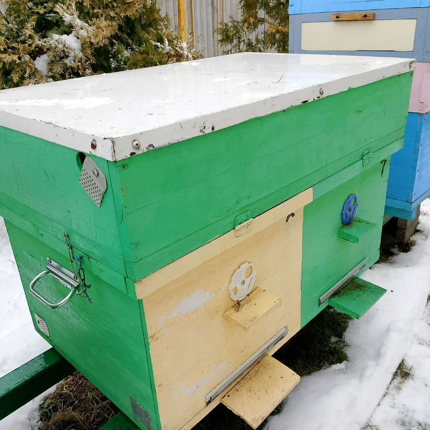 Продам ульи для пчел