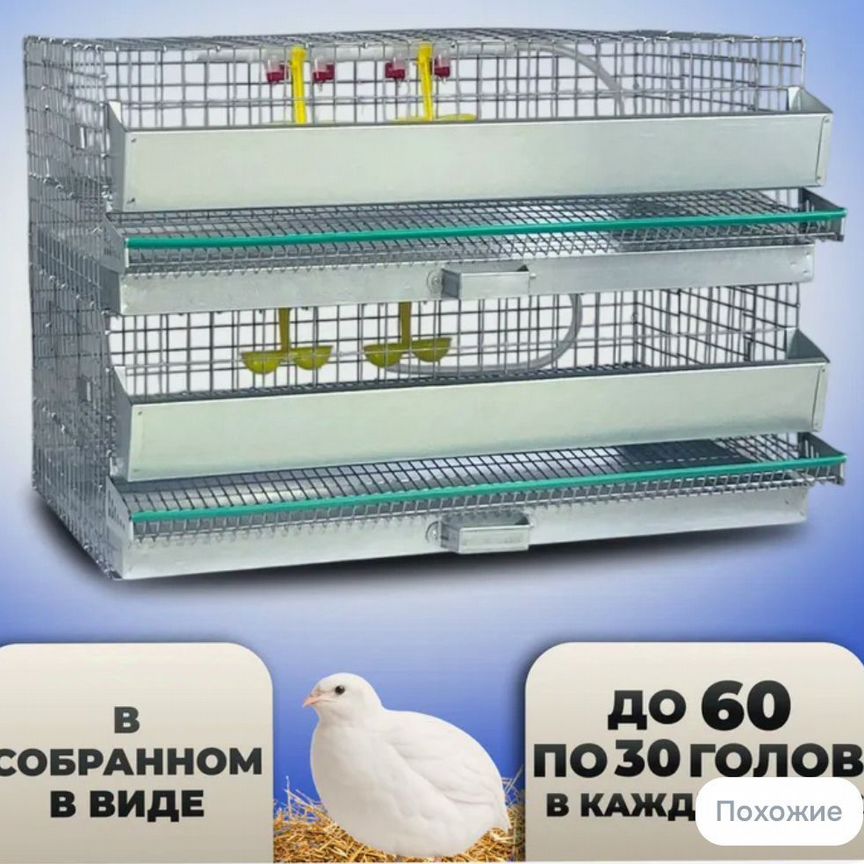 Клетка для перепелов