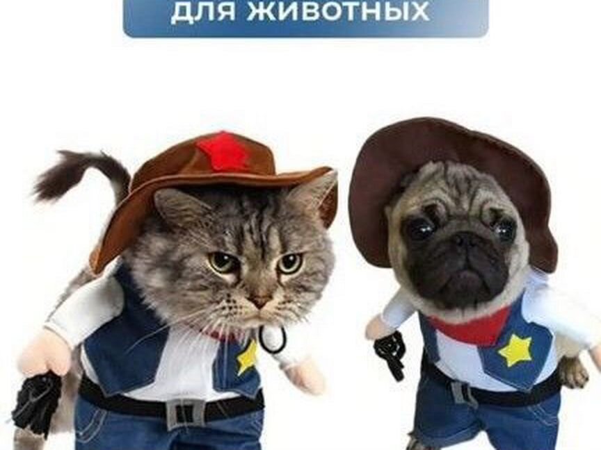 Костюм для кота/собаки
