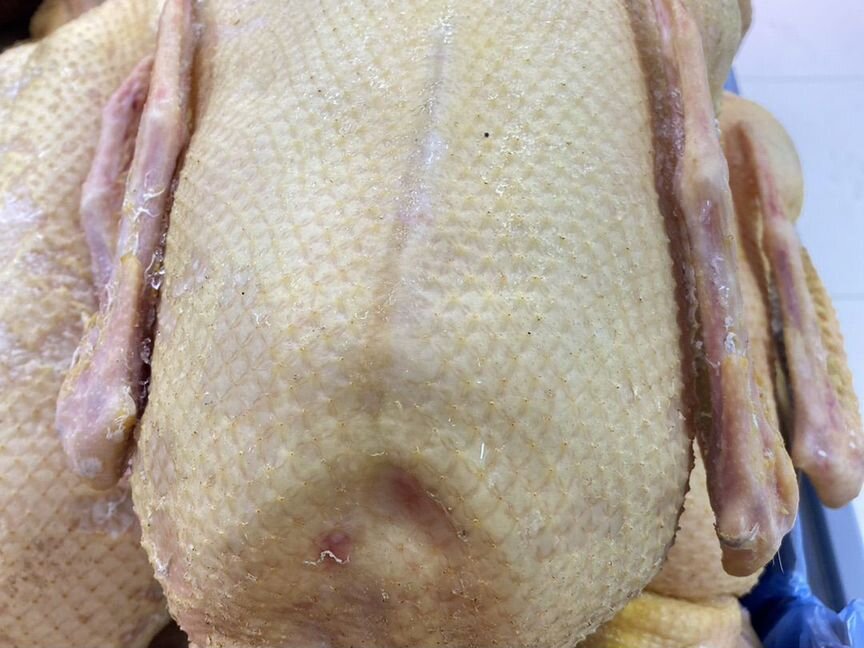 Гусь утка тушки за кг 900