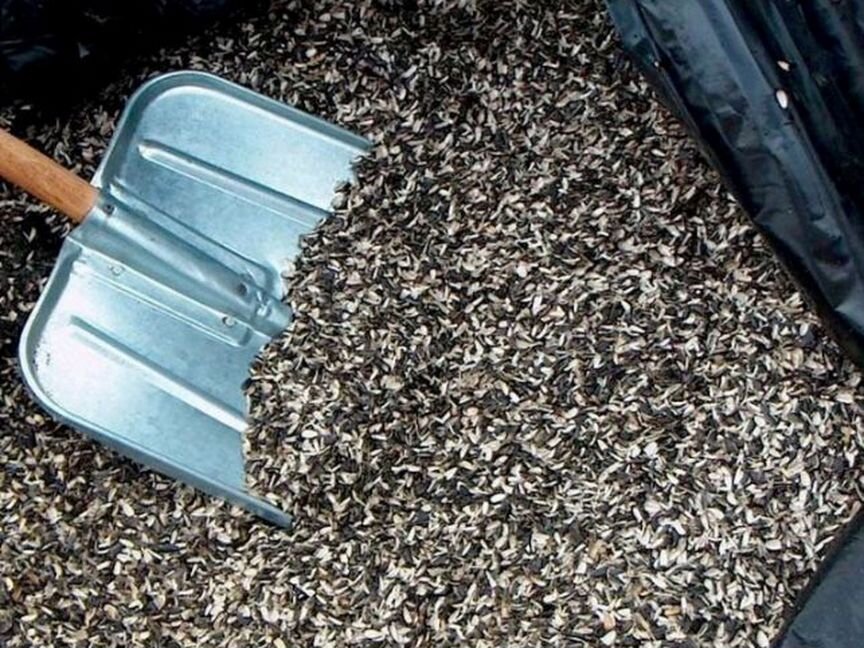 Лузга подсолнечника