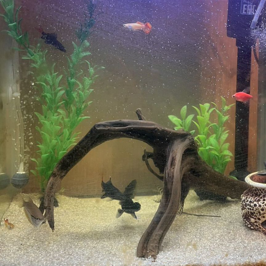 Аквариум 30 литров