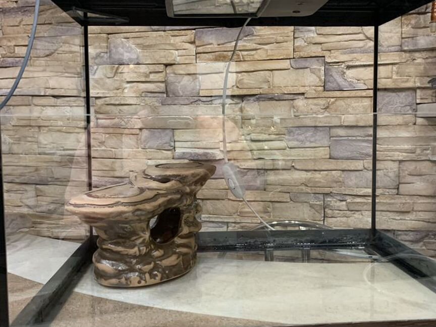 Черепашатник