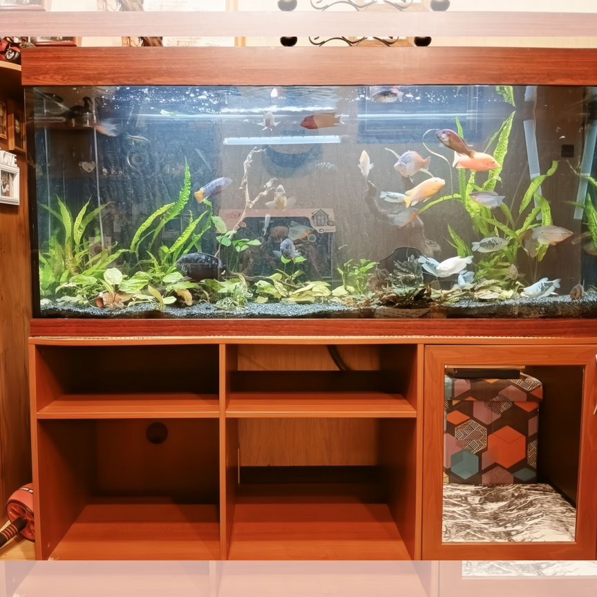 Аквариум 500л с тумбой и оборудованием