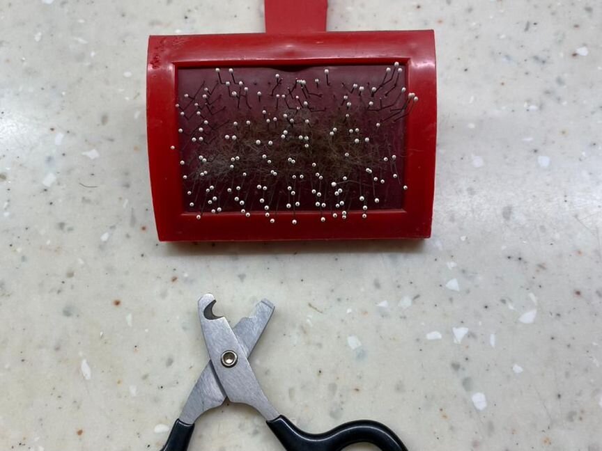 Аксессуары для кошек