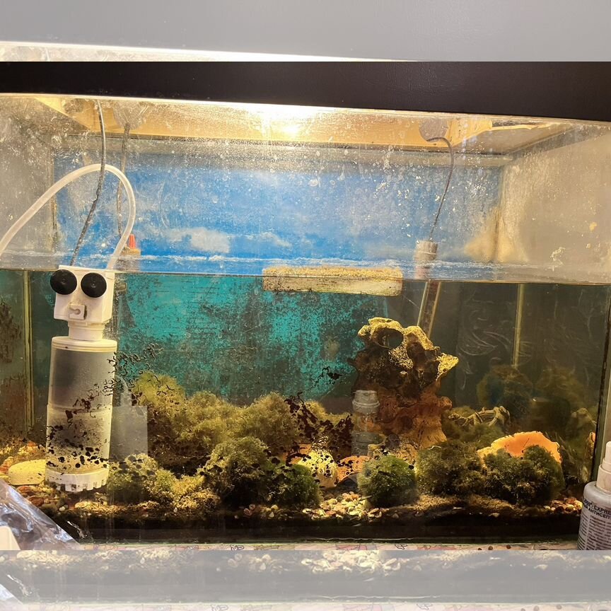 Аквариум на 60 литров с сомиками