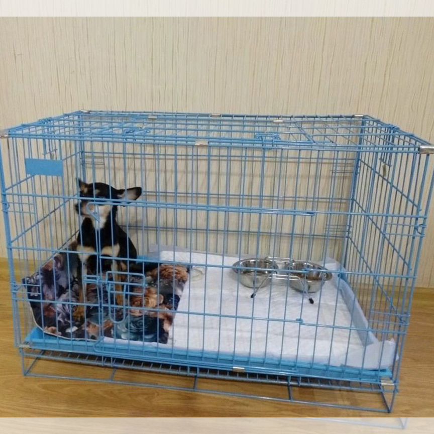 Клетка для животных бу