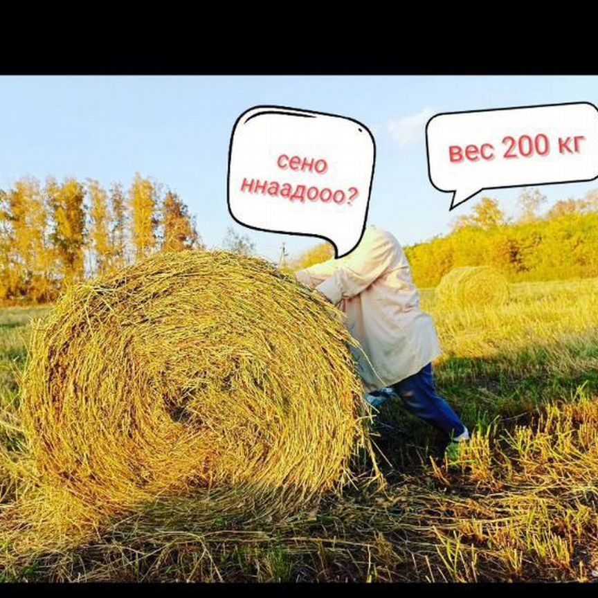 Сено