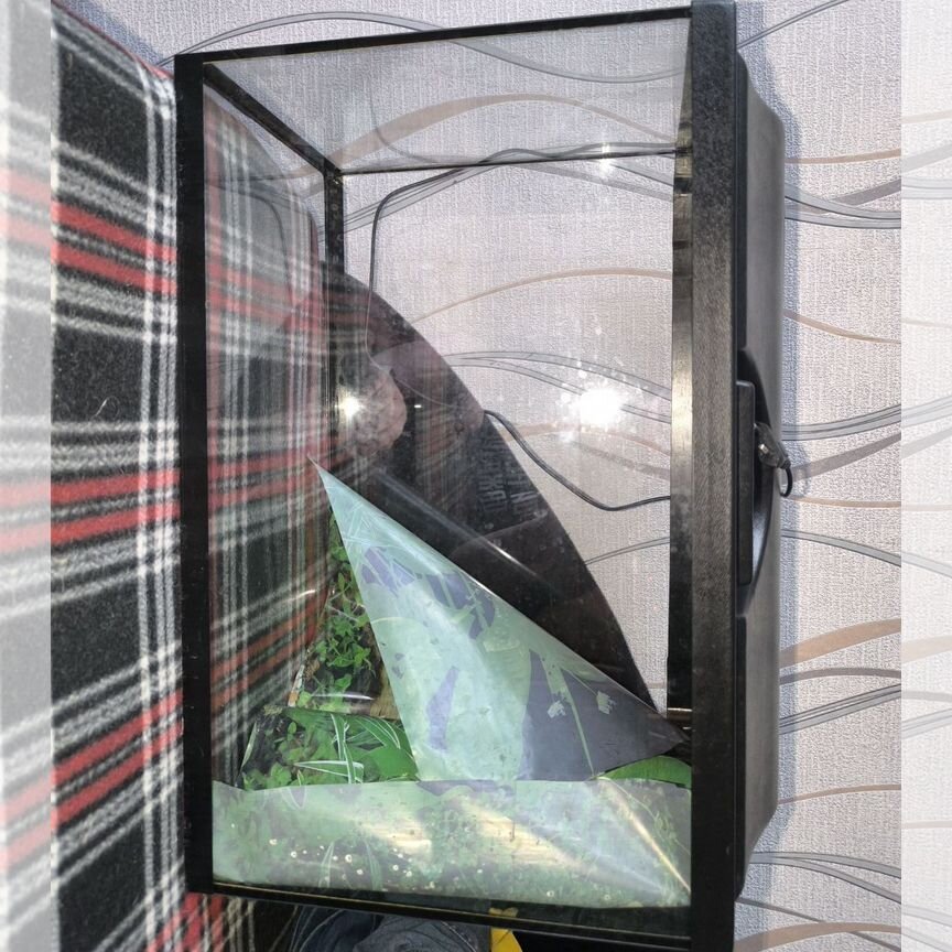 Аквариум на 50л