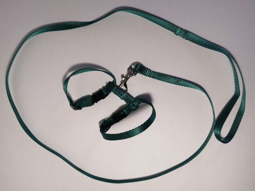 Шлейка для хорьков