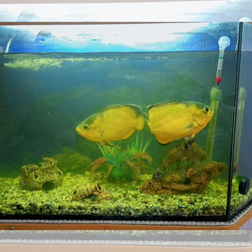 Аквариум с тумбой 120 лит