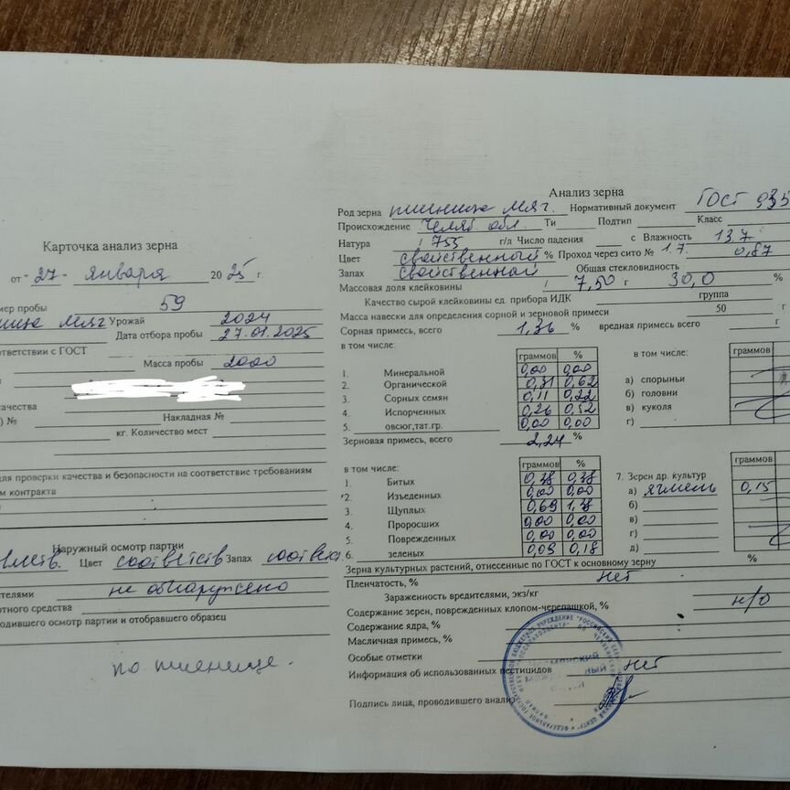 Пшеница мягкая