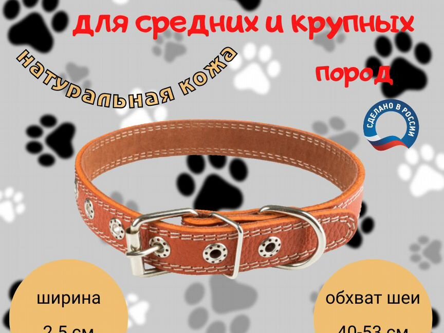 Ошейники для собак из натуральной кожи