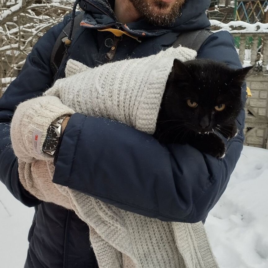 Кот-обормот