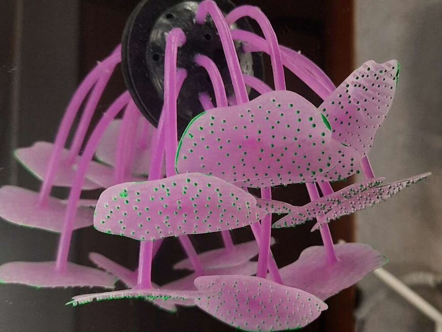 Декор для террариума/аквариума, флуоресцентные