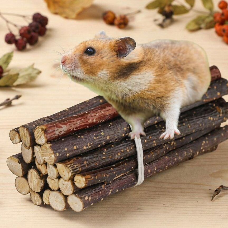 Веточки для грызунов