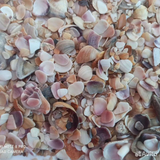 Ракушечный песок для аквариума