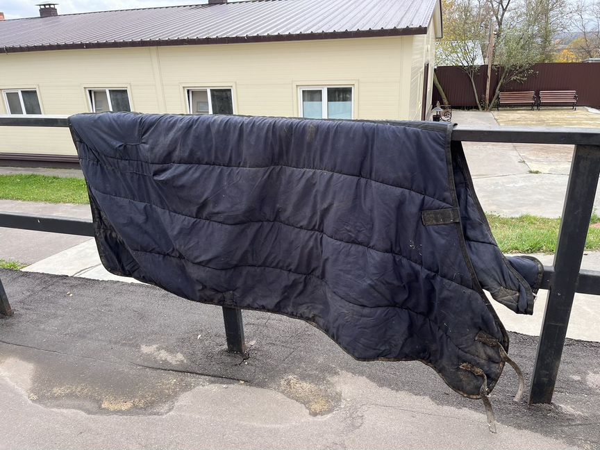 Попона для лошади зимняя 155
