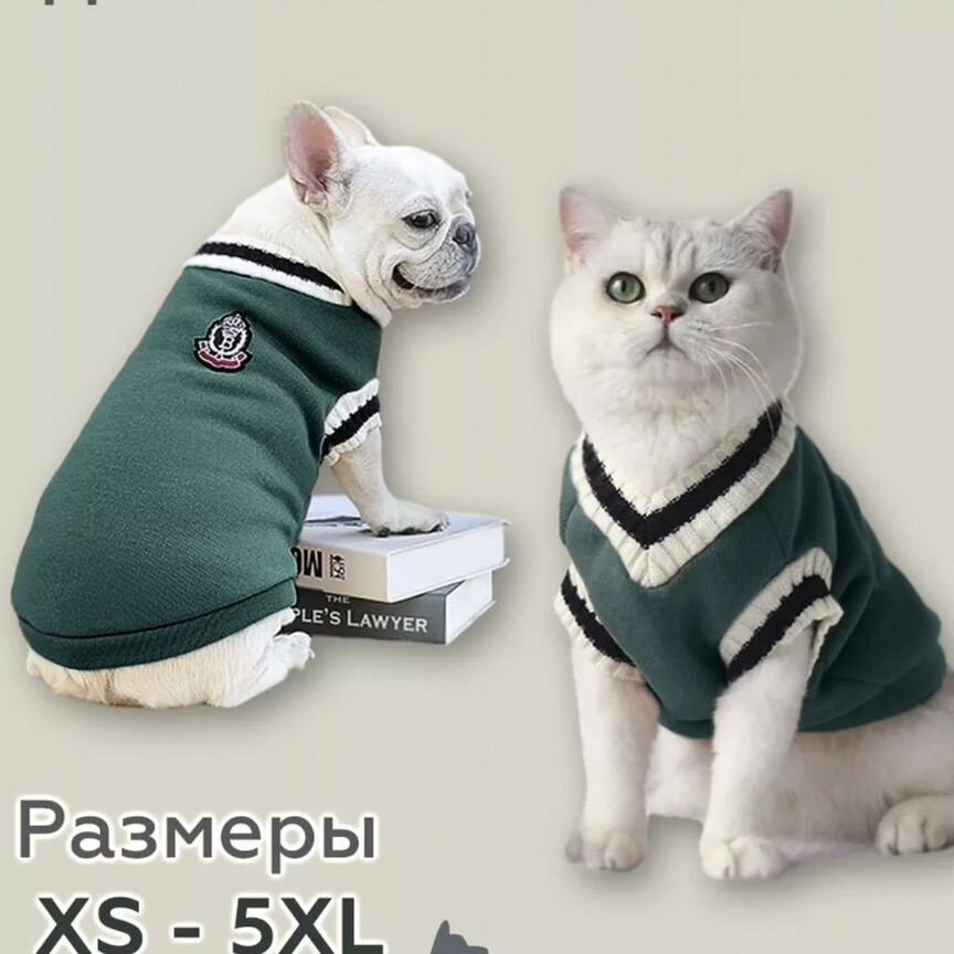 Толстовка для животных
