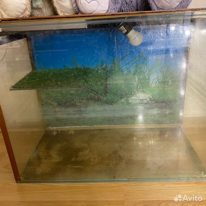 Аквариум для красноухой черепахи