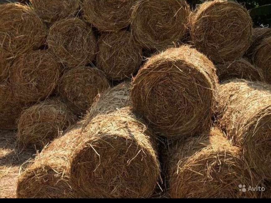 Солома в рулонах
