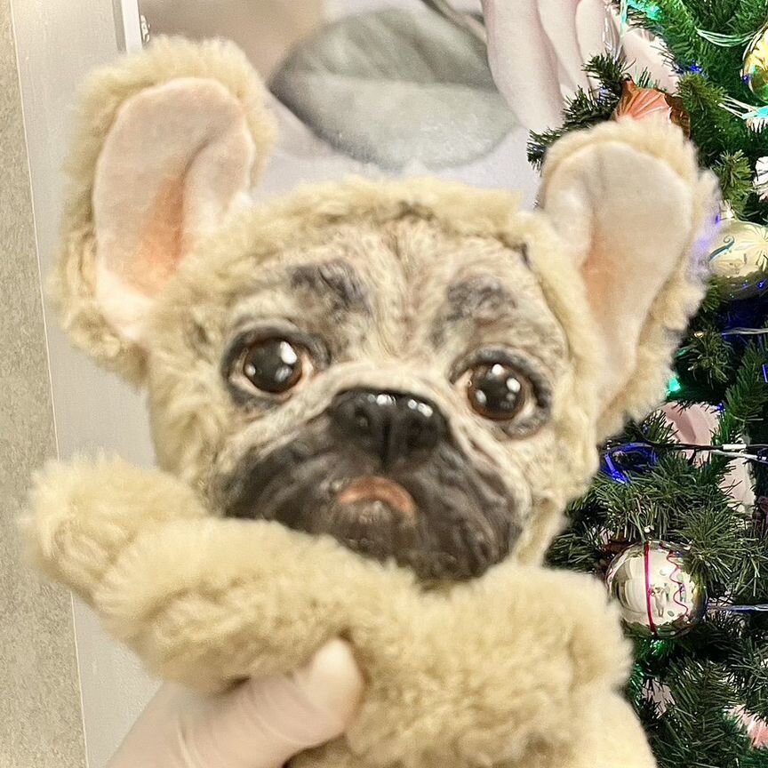 Бульдог