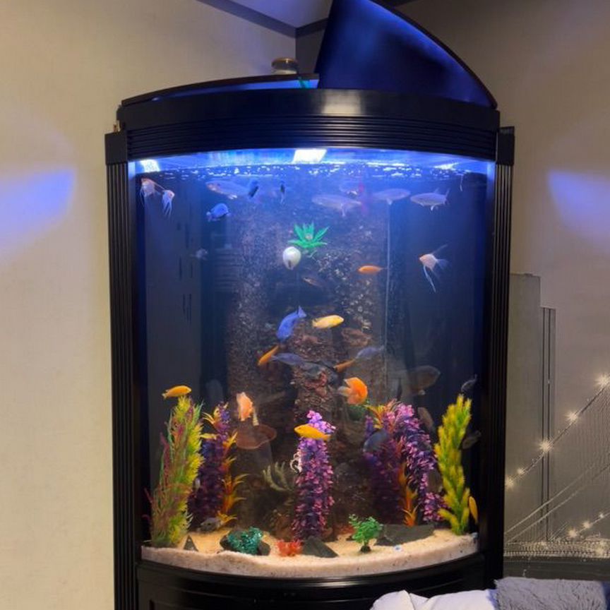 Аквариум с тумбой 70 литров