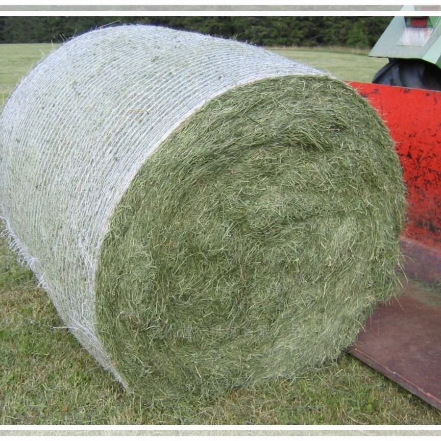 Продам сено в рулонах