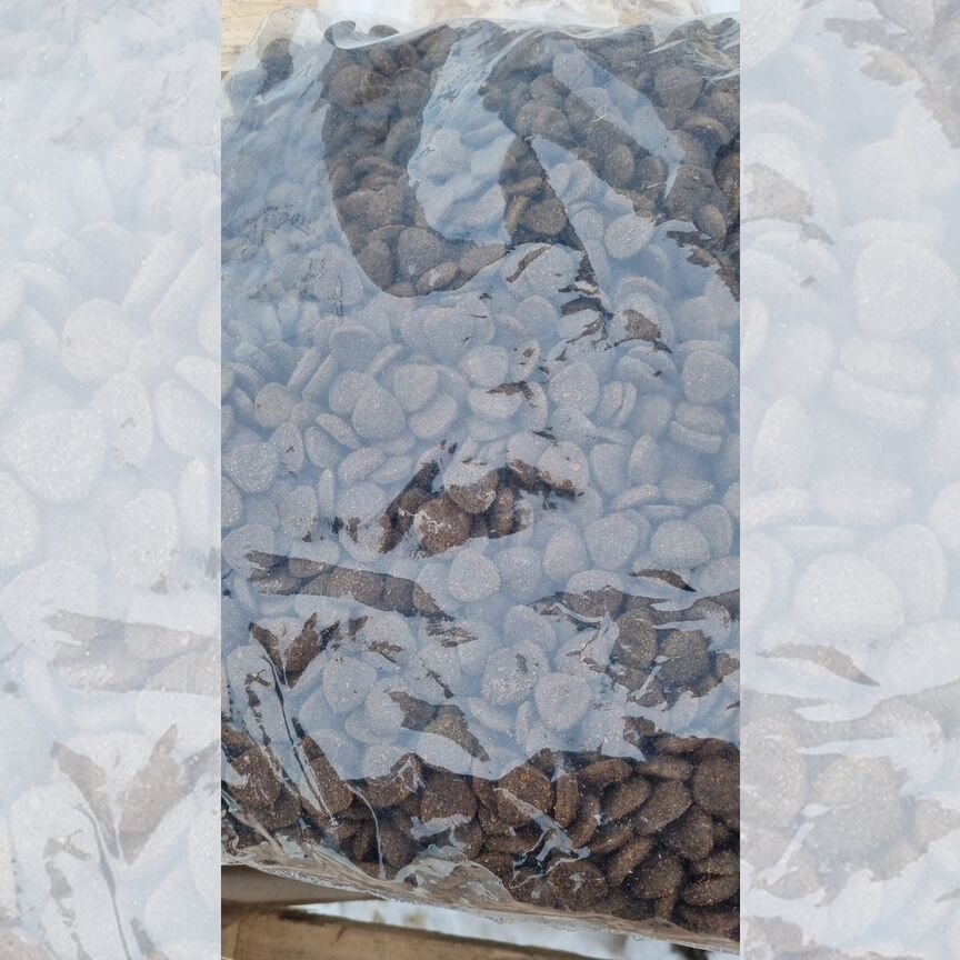 Корм для собак и кошек