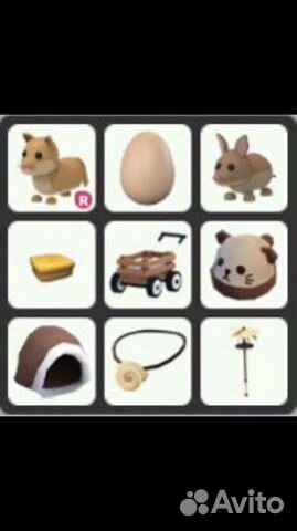 Петы адопт ми,бокс