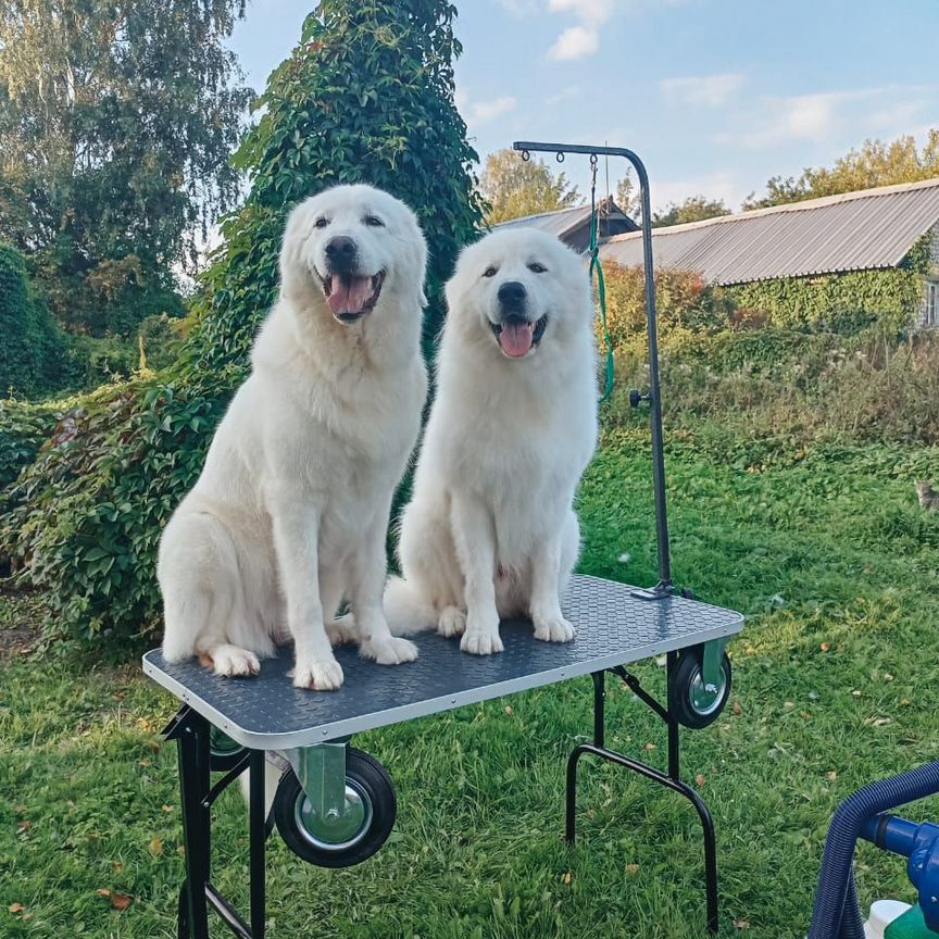 Стол для груминга с колесами складной