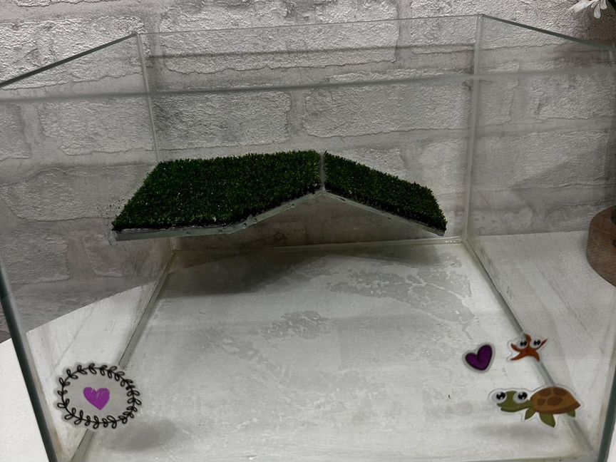 Аквариум для черепах бу