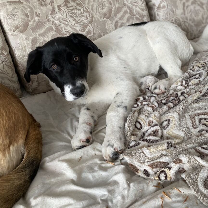 Обалденная девчонка)