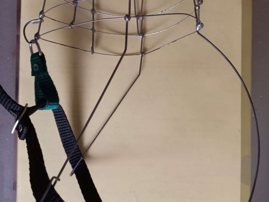 Намордник для бегов английский