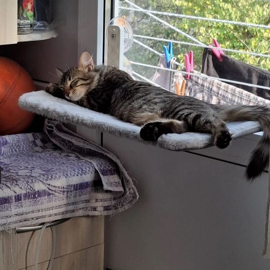 Гамак на окно для кота новый