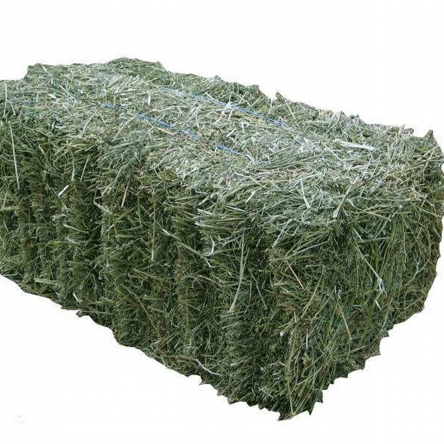 Сено люцерны в тюках