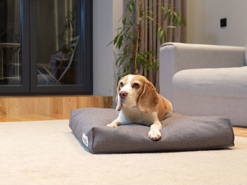 Лежанка для собак 80х60 см